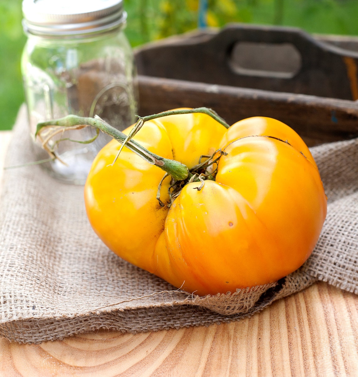 King of Siberia Heirloom Tomato Premium Seed Packet - Etsy