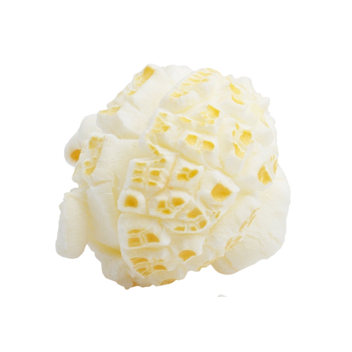 Monster Popcorn Kettle Corn Seed Packet - Etsy