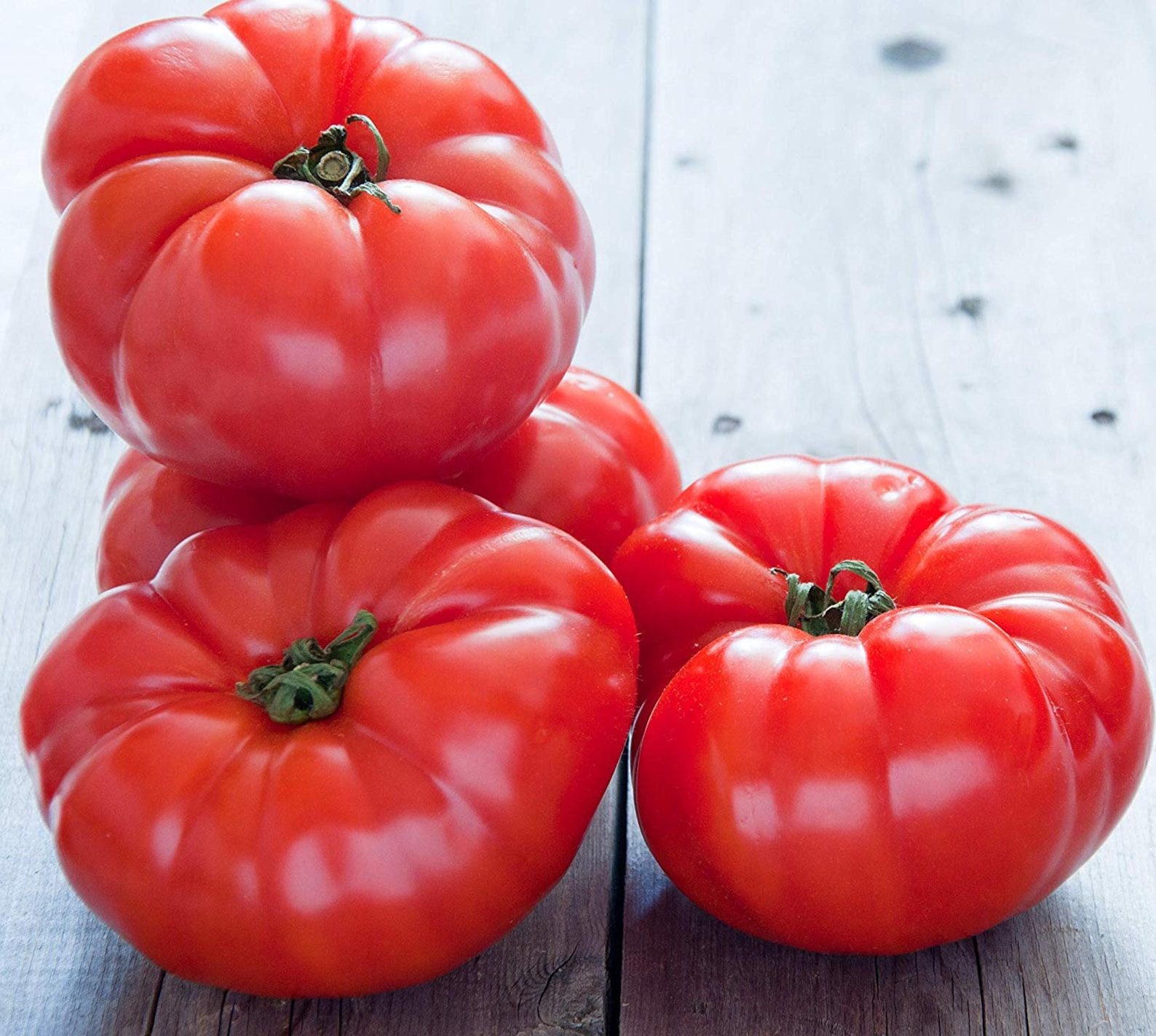 Silver Fir Tree Heirloom Tomato Premium Seed Packet - Etsy