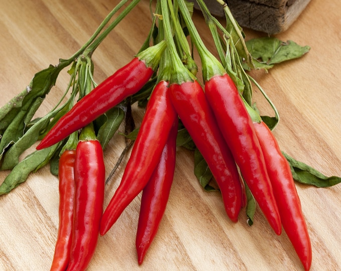 Purple Jalapeno Heirloom Pepper Premium Seed Packet - Etsy