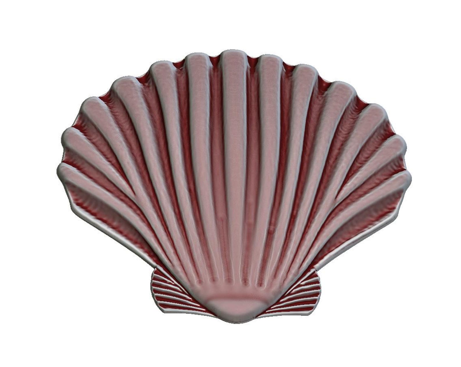 Seashell 3D Relief STL File: CNC, Laser, 3D Printing (instant Download ...