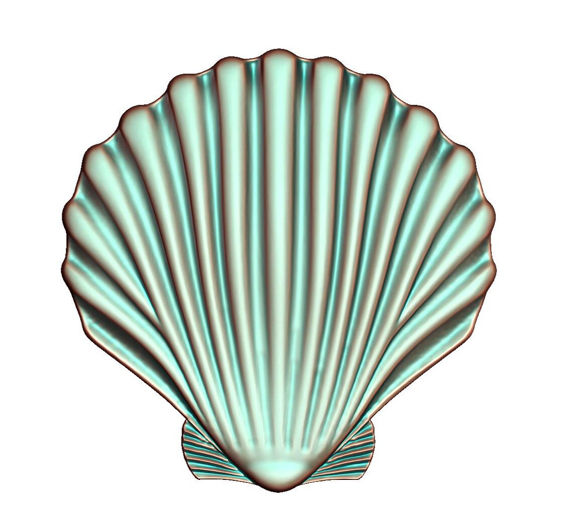Seashell 3D Relief STL File: CNC, Laser, 3D Printing (instant Download ...