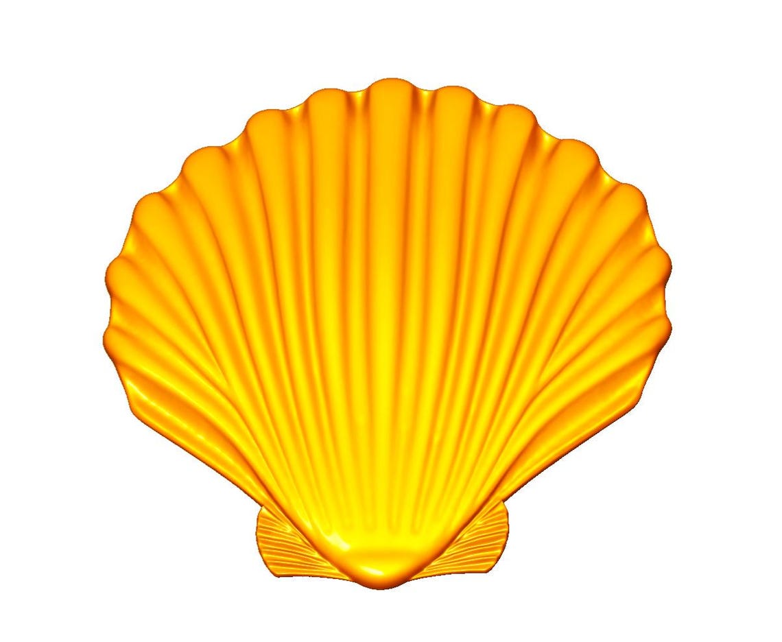 Seashell 3D Relief STL File: CNC, Laser, 3D Printing (instant Download ...