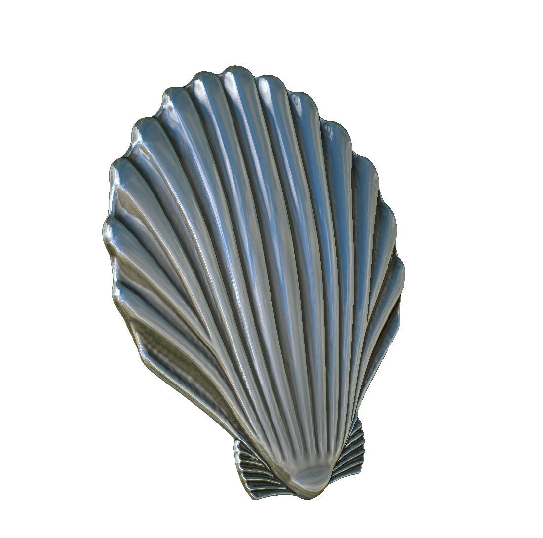 Seashell 3D Relief STL File: CNC, Laser, 3D Printing (instant Download ...