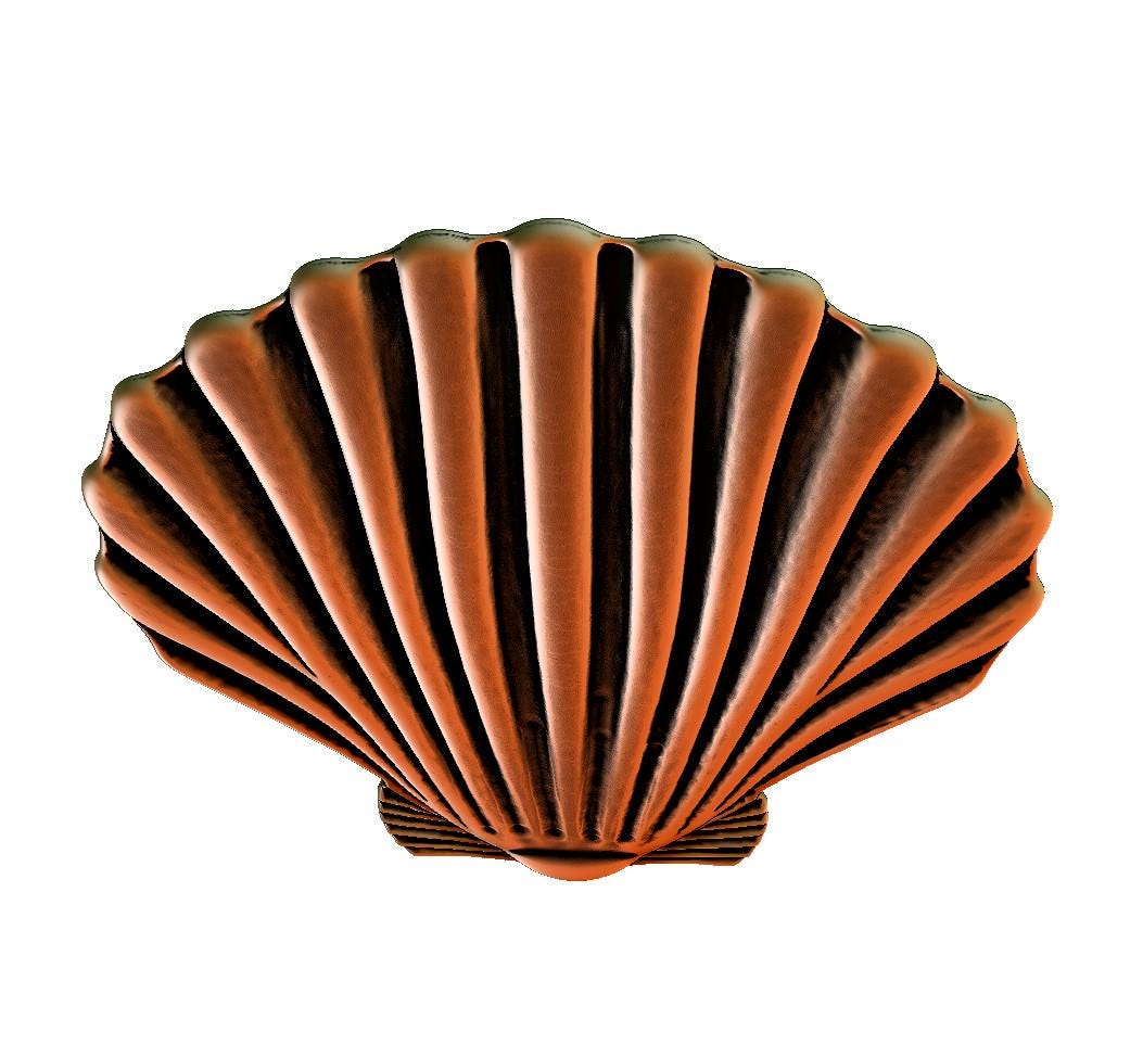 Seashell 3D Relief STL File: CNC, Laser, 3D Printing (instant Download ...