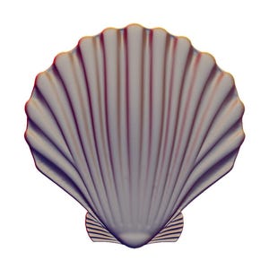 Seashell 3D Relief STL File: CNC, Laser, 3D Printing (instant Download ...