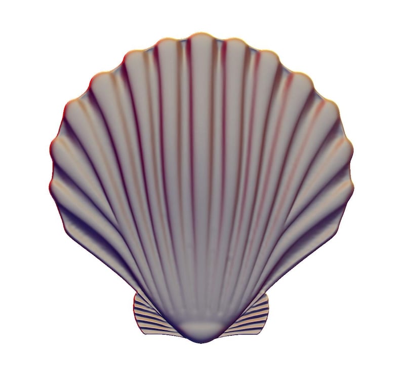 Seashell 3D Relief STL File: CNC, Laser, 3D Printing (instant Download ...