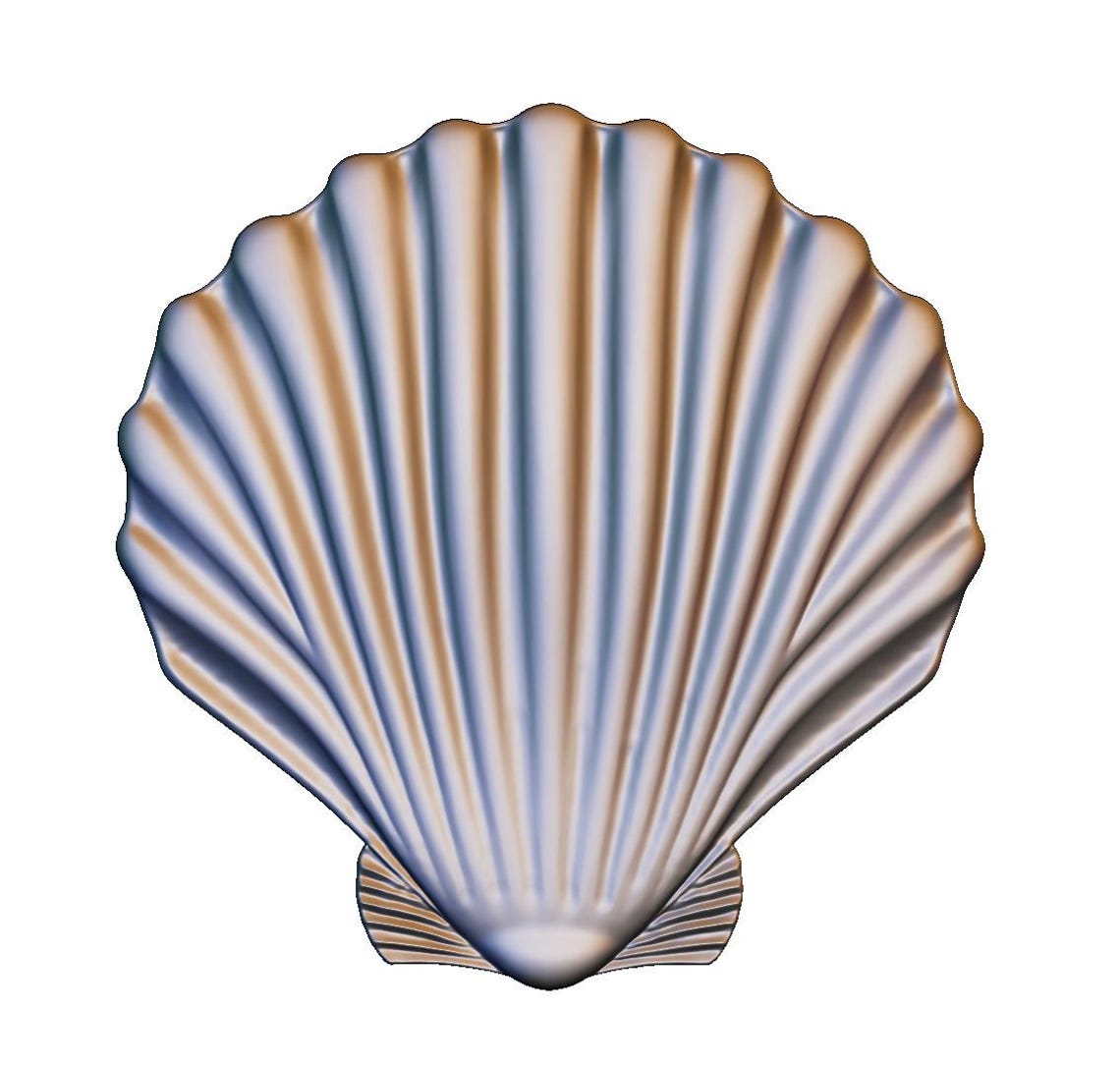 Seashell 3D Relief STL File: CNC, Laser, 3D Printing (instant Download ...