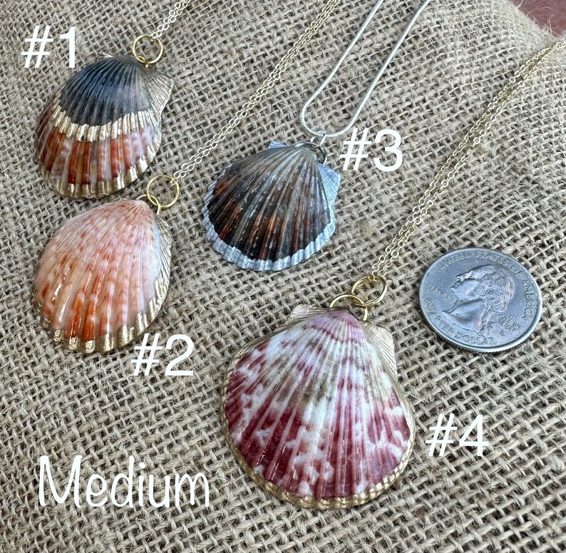 Real Sea Shell Pendant Necklace Silver or Gold Accents / Ocean, Surfer ...