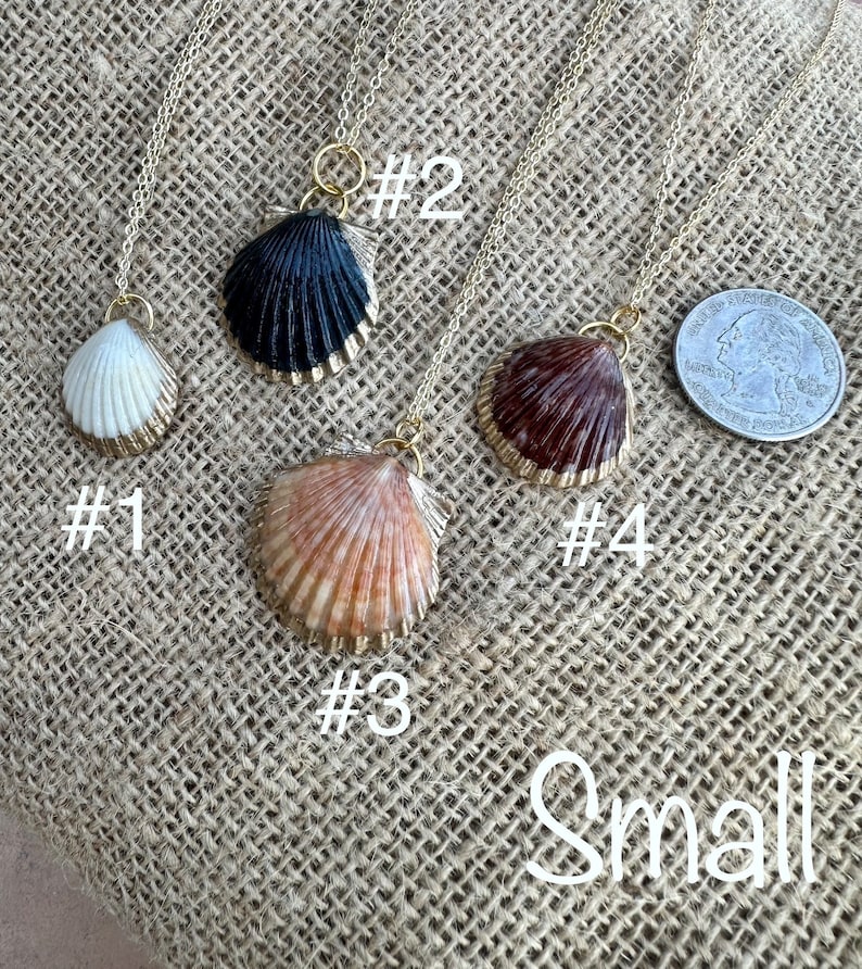 Real Sea Shell Pendant Necklace Silver or Gold Accents / Ocean, Surfer ...