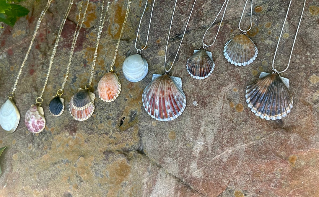 Real Sea Shell Pendant Necklace Silver or Gold Accents / Ocean, Surfer ...
