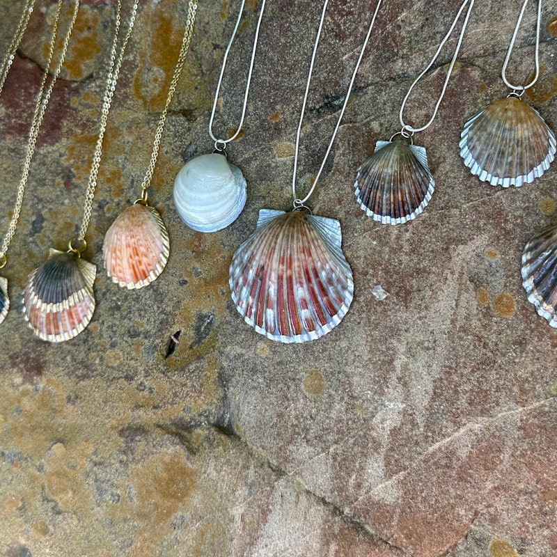 Sea Shells Jewelry - Etsy