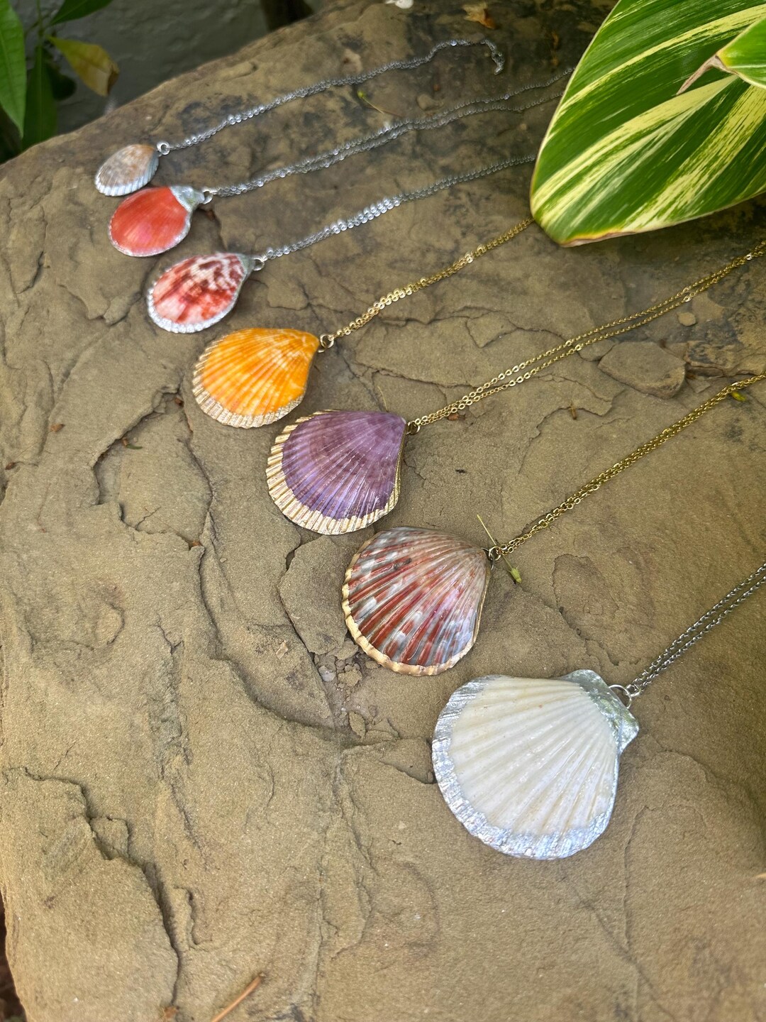 Real Sea Shell Pendant Necklace Silver or Gold Accents / Ocean, Surfer ...