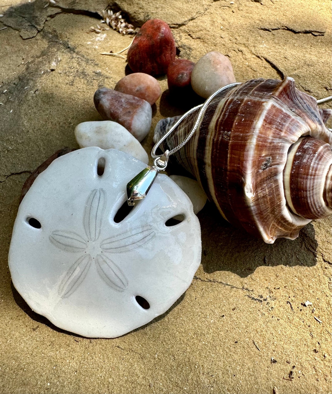 Real Sand Dollar Pendant Necklace Silver, Gold or Leather Chain /ocean ...