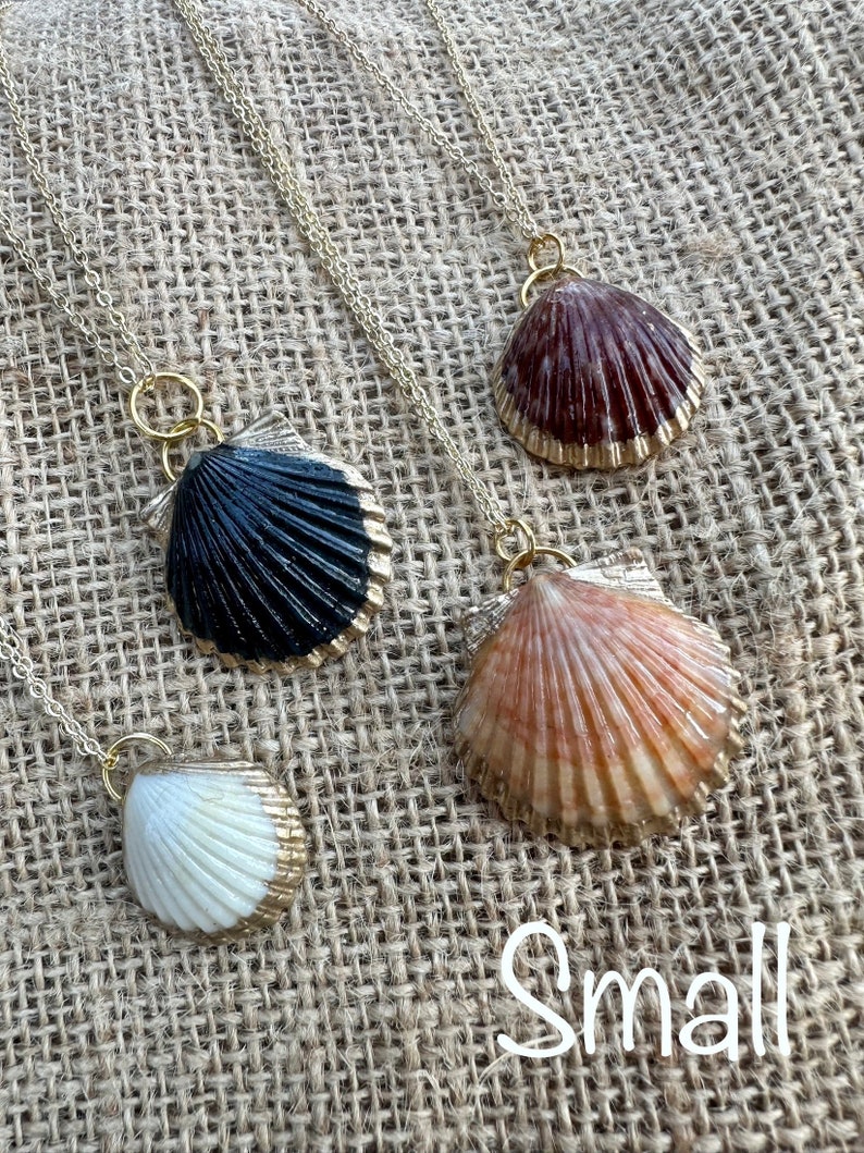 Real Sea Shell Pendant Necklace Silver or Gold Accents / Ocean, Surfer ...