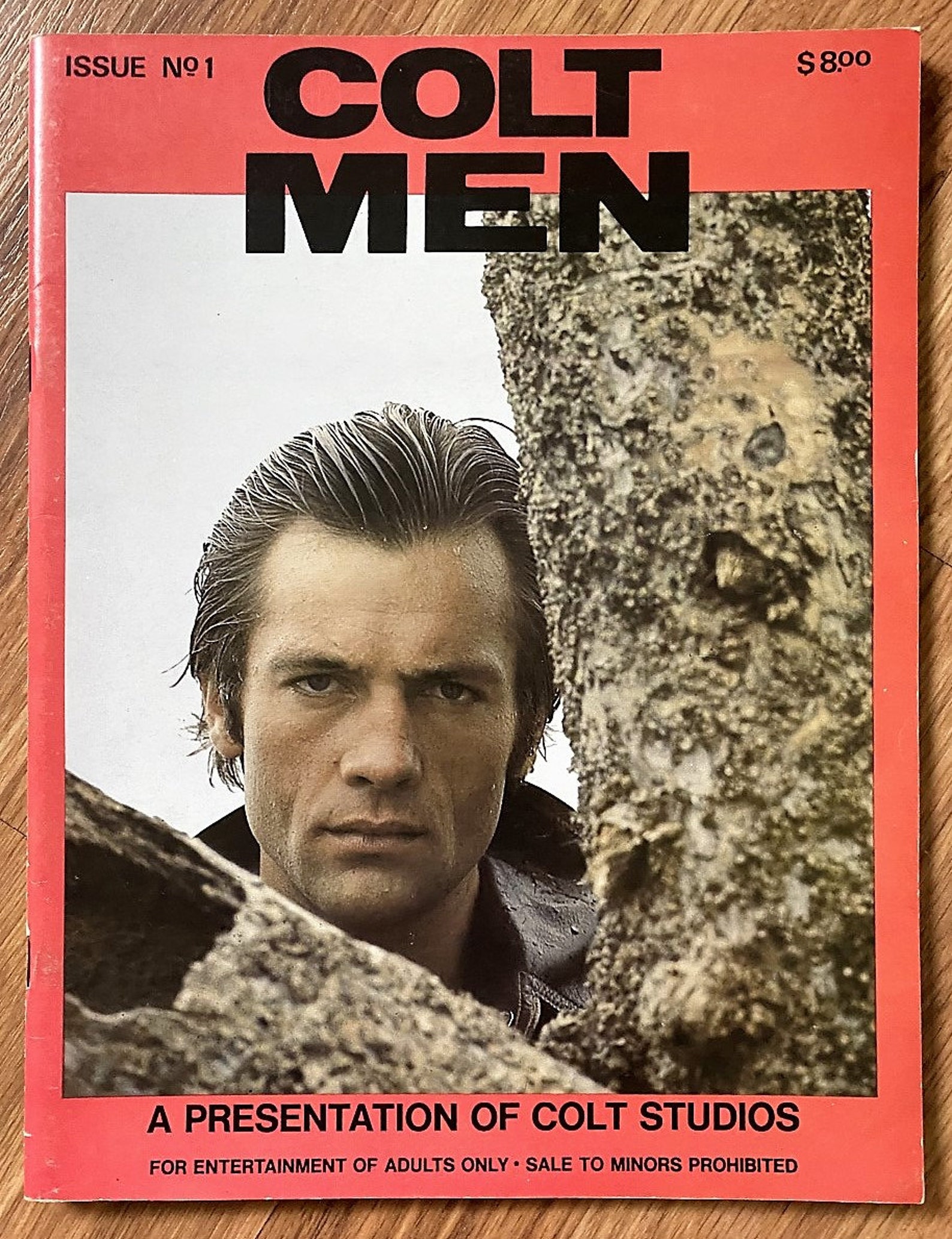 18 Colt Studios Colt Men Issue No 1 | Etsy