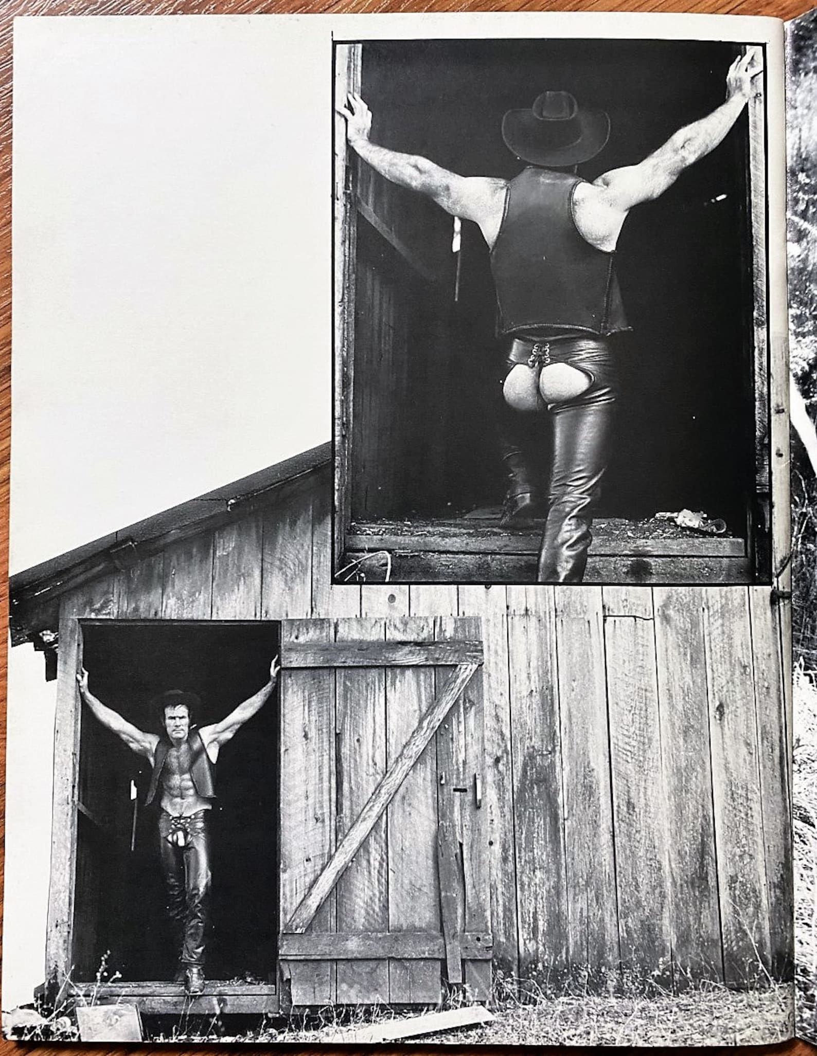 18 Colt Studios Manpower No. 4 1974 Re-Issue | Etsy