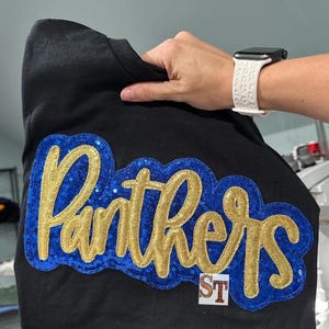 Panthers Embroidery - Etsy