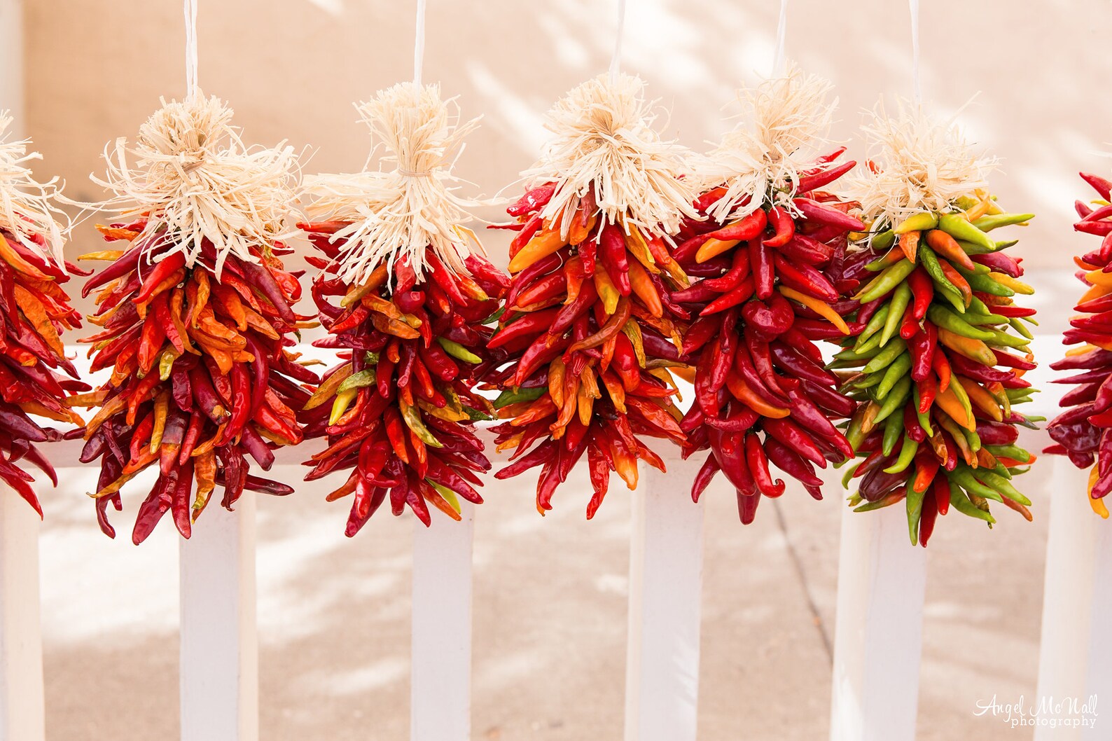 Santa Fe Wall Art Chili Pepper Art Southwestern Wall Decor | Etsy