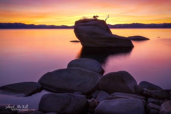 Bonsai Rock Lake Tahoe Fine Art Photography Lake Tahoe - Etsy