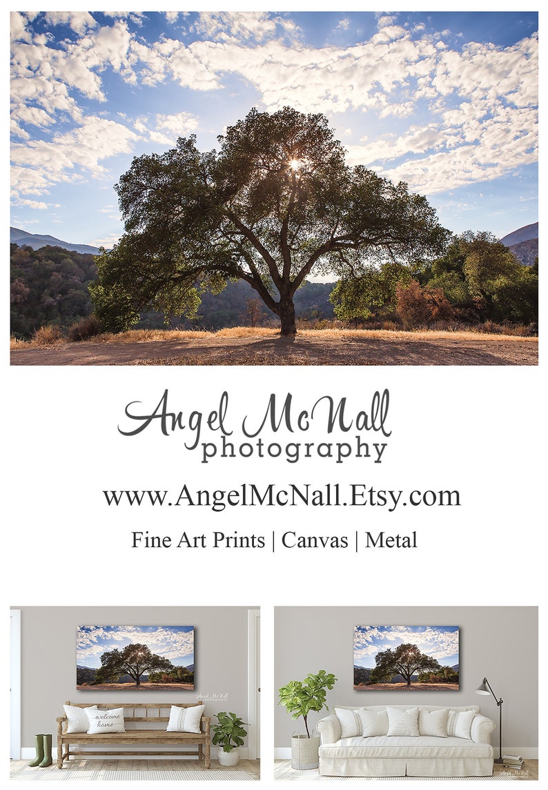 Tree of Life Oak Tree Sunburst Wall Art Rustic Wall Decor - Etsy