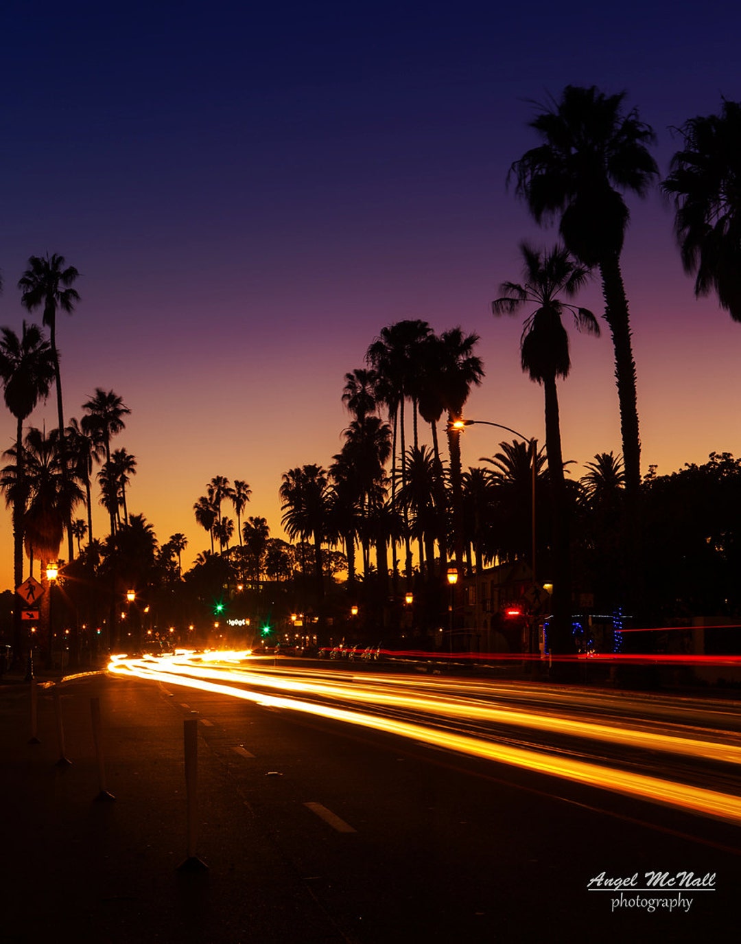 Palm Tree Sunset, Night Photography, City Lights, Santa Barbara ...