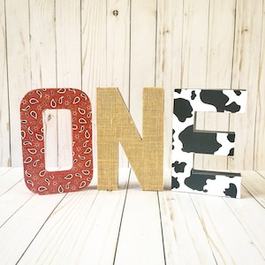 Cowboy Party Decoration, Farm Theme Party, Cowgirl Paty, Cowboy Party ...