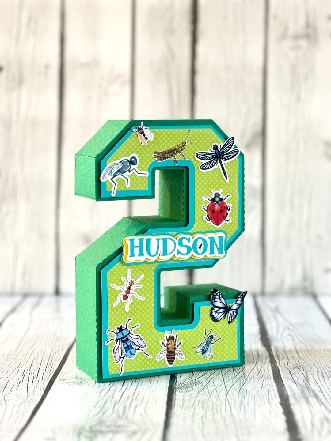 Bug Birthday, 3D Number, Personalized Number, Insect Party, Bug Party ...