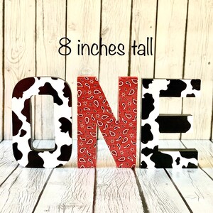 Cow Theme Party, Cowboy Party Decoration, Farm Theme Party, , Cowboy ...