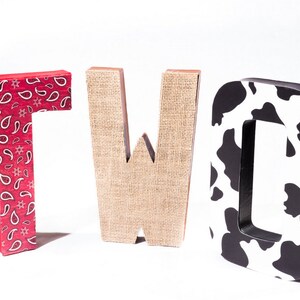 Cowboy Party Decoration, Farm Theme Party, Cowgirl Paty, Cowboy Party ...