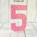 Sprinkle Birthday Party Birthday Photo Prop Block Numbers - Etsy