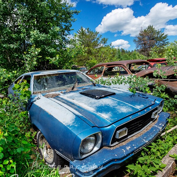 Mustang Ii - Etsy