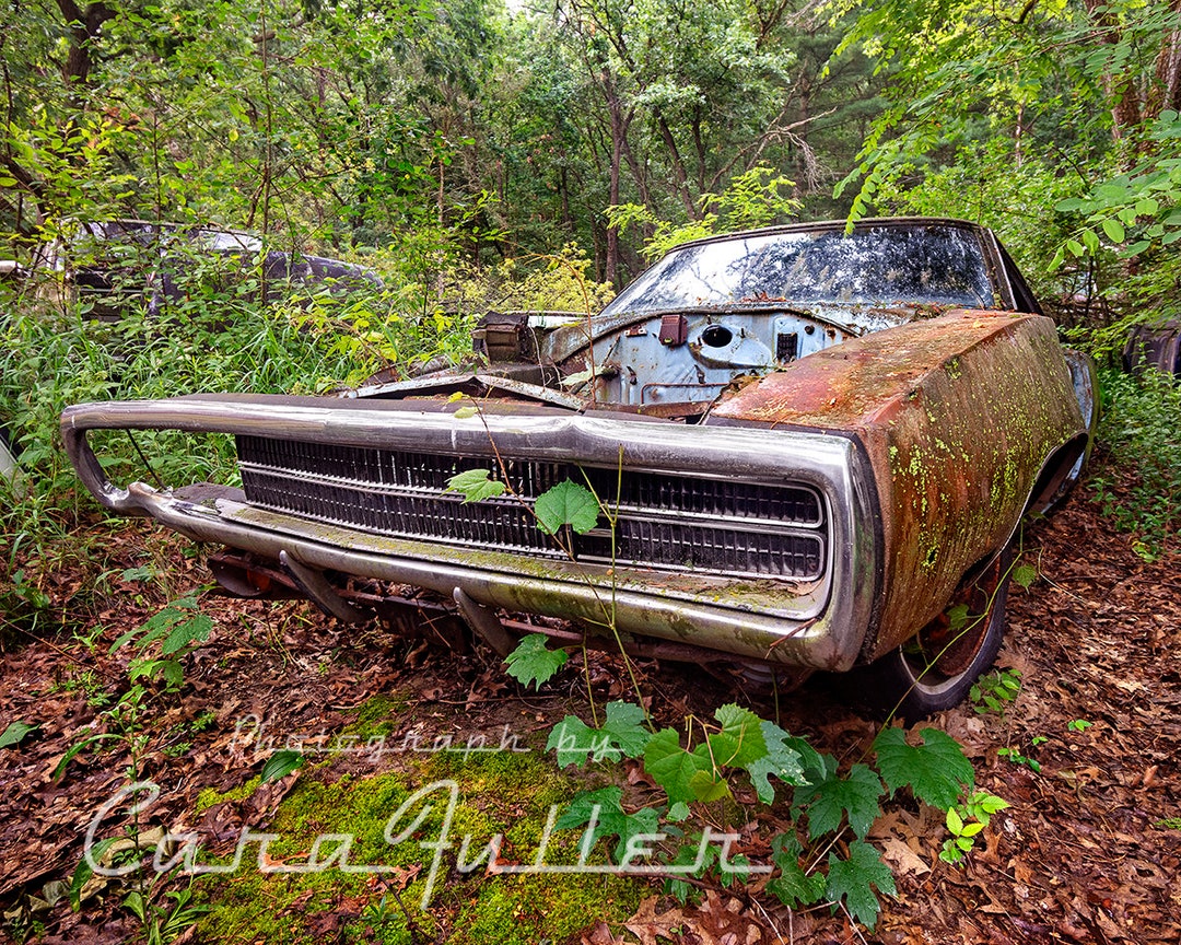Photograph of a Rusty 1968 Dodge Charger in the Woods - Etsy