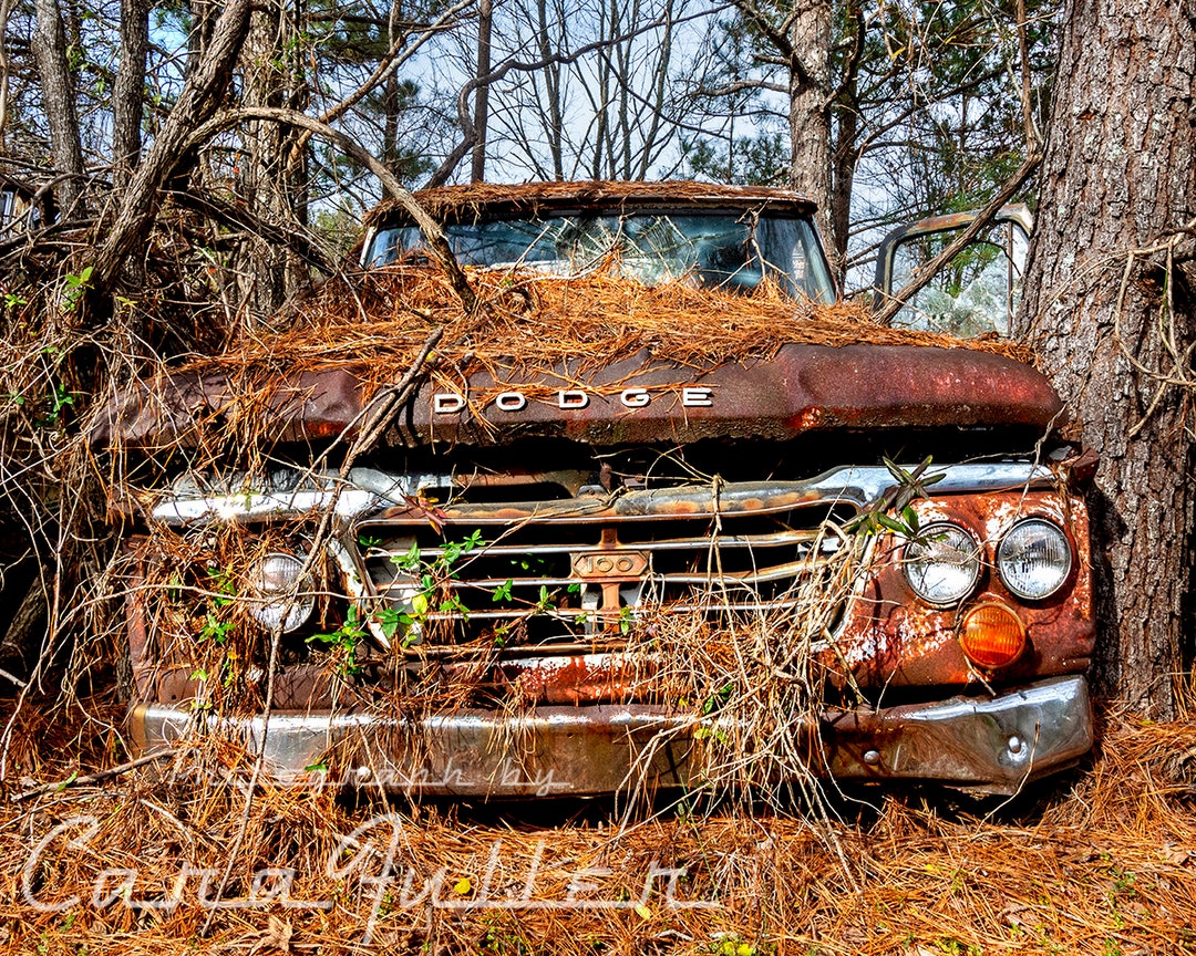 Photograph of a 1961 -1965 Rusty Dodge Truck in the Woods - Etsy