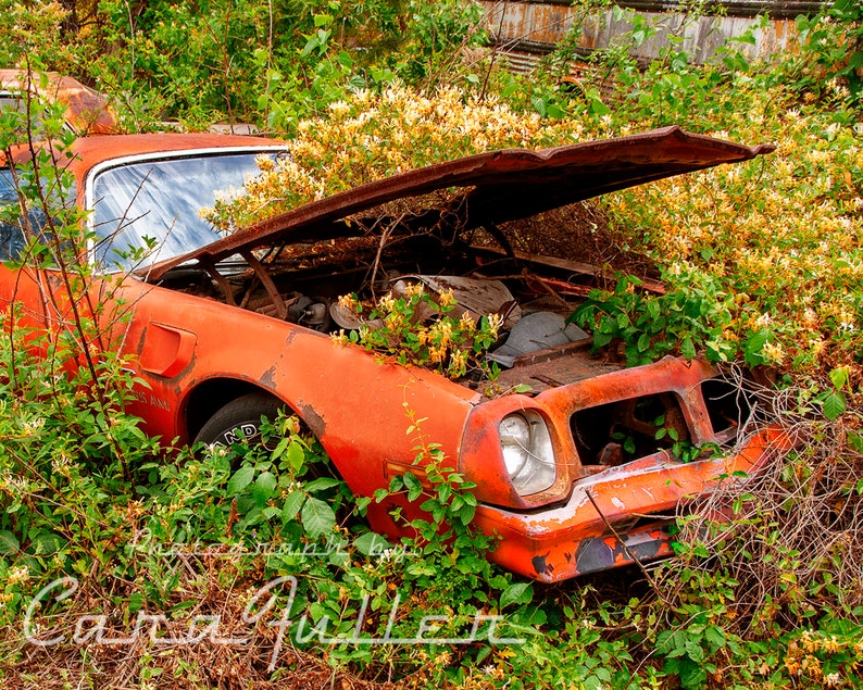 Photograph of a Orange 1975 Pontiac Trans Am Covered in - Etsy