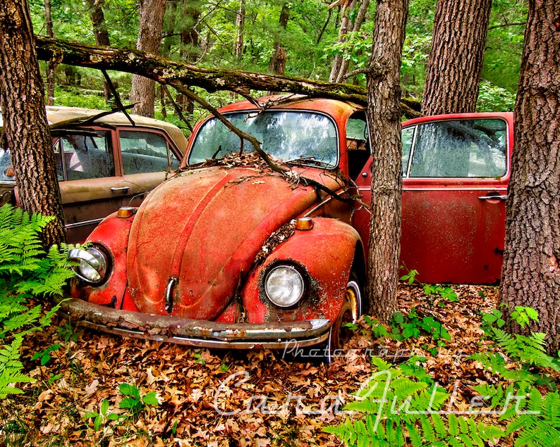 Photograph of a Red VW Bug Among Trees - Etsy