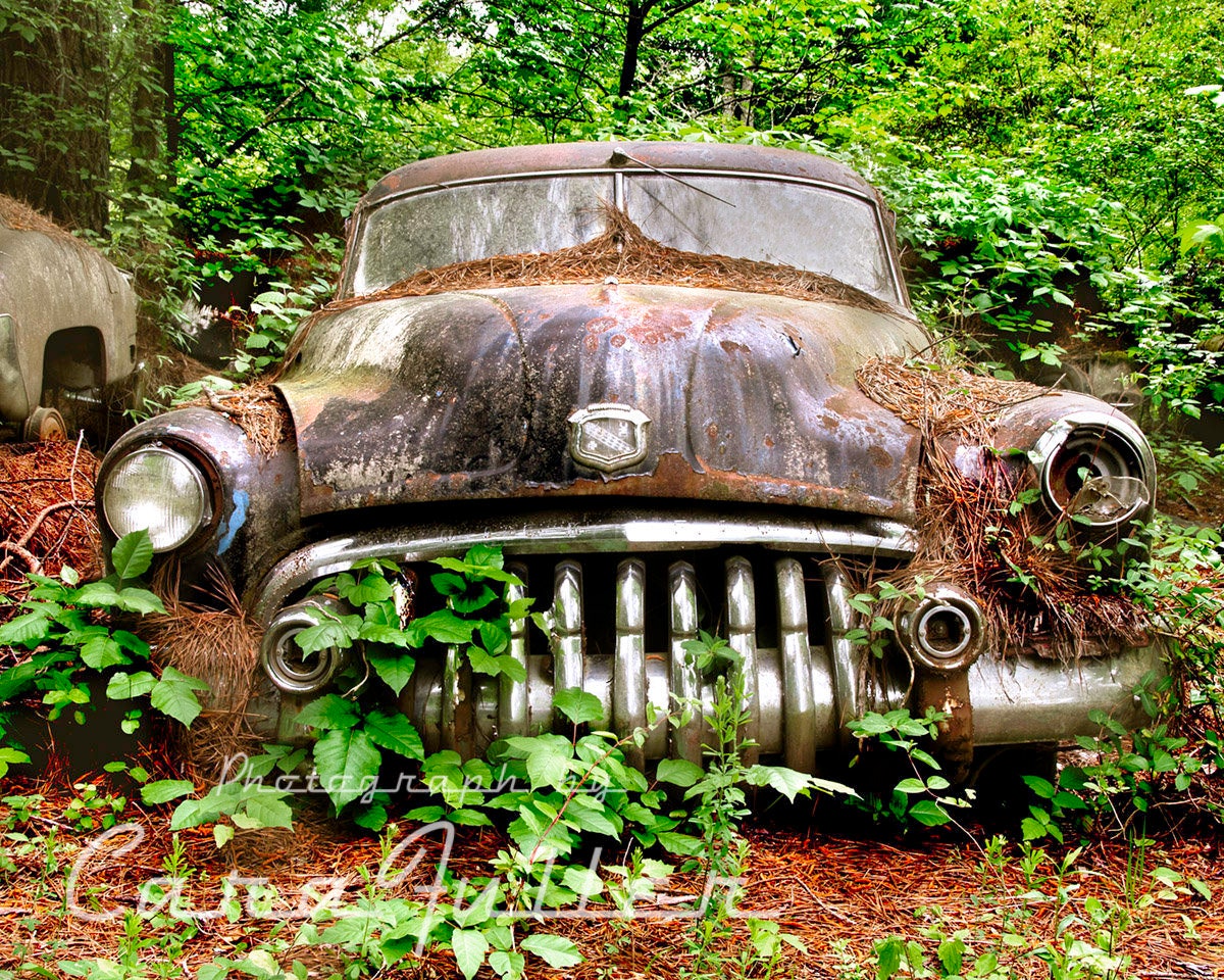 1950 buick emblem - dareloib