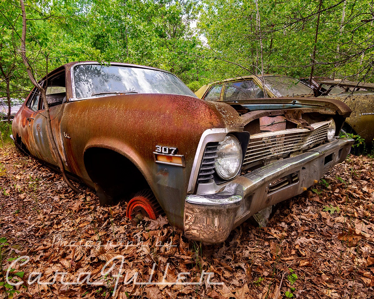 Photograph of a Very Rusty 1971 1972 Chevy Nova in the Woods - Etsy UK