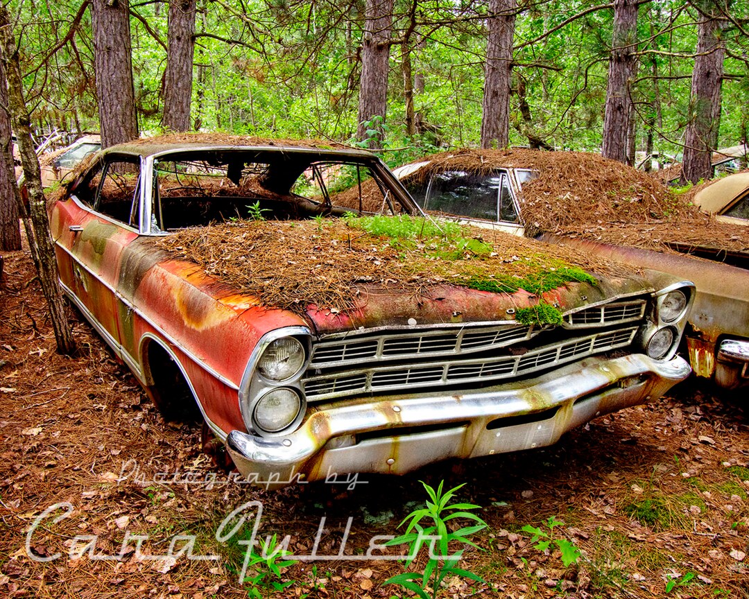 Photograph of the 1967 Red Ford Galaxie in the Woods - Etsy
