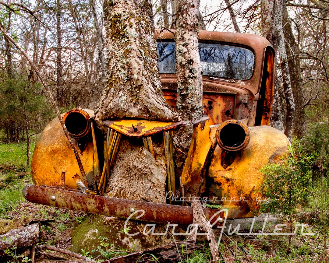 Photograph of a Yellow 1941 Ford 1 Ton Big Truck With Tree Growing ...