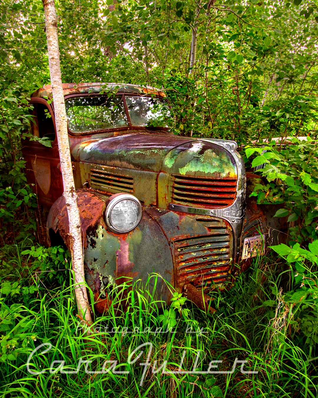 Photograph of a 1940 -1947 Rusty Dodge Truck in the Woods - Etsy