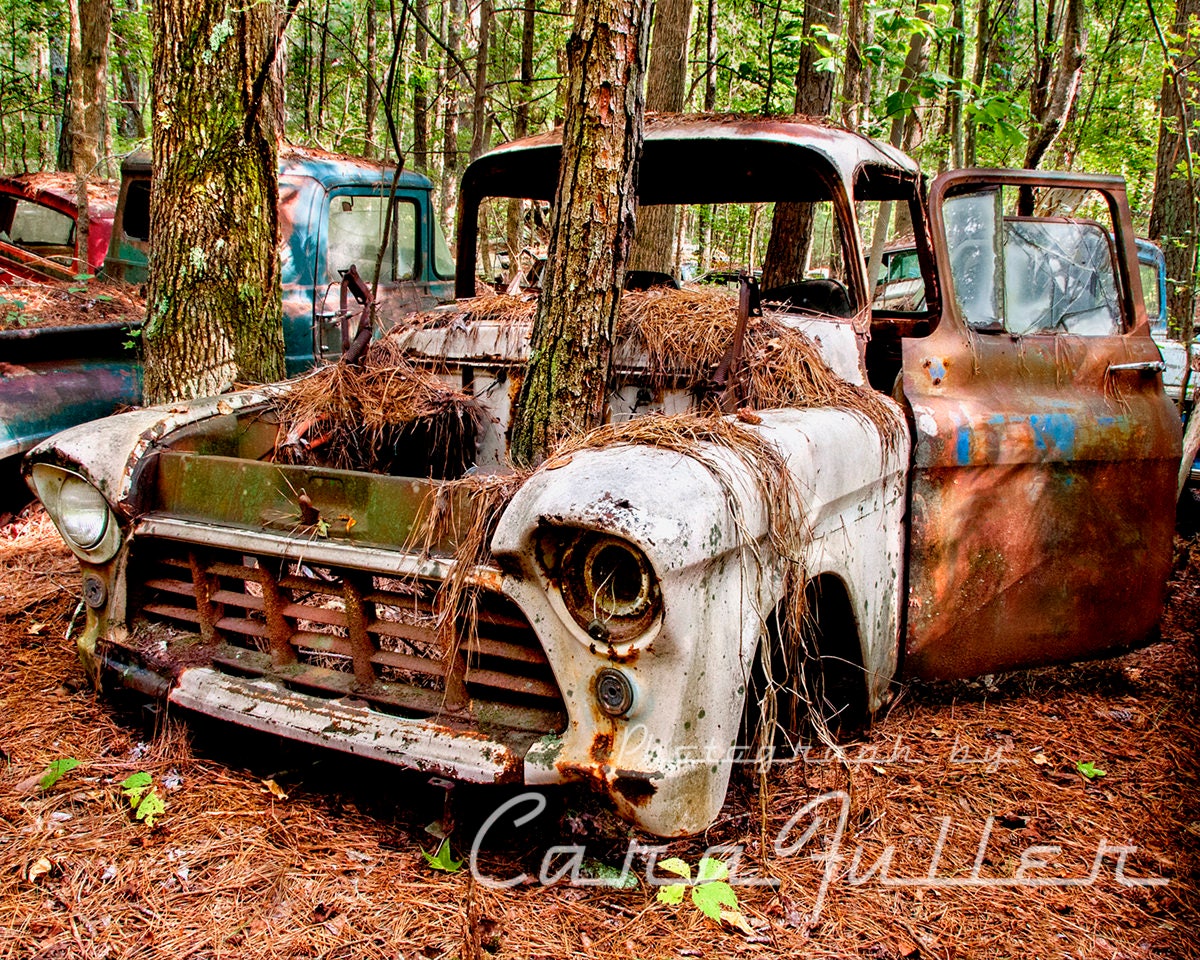 Photograph of a 1955 1956 Chevy Truck With a Tree Growing Through It - Etsy