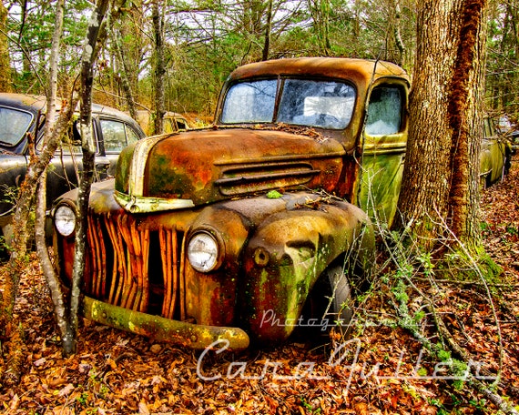 Old Rusty Ford Trucks