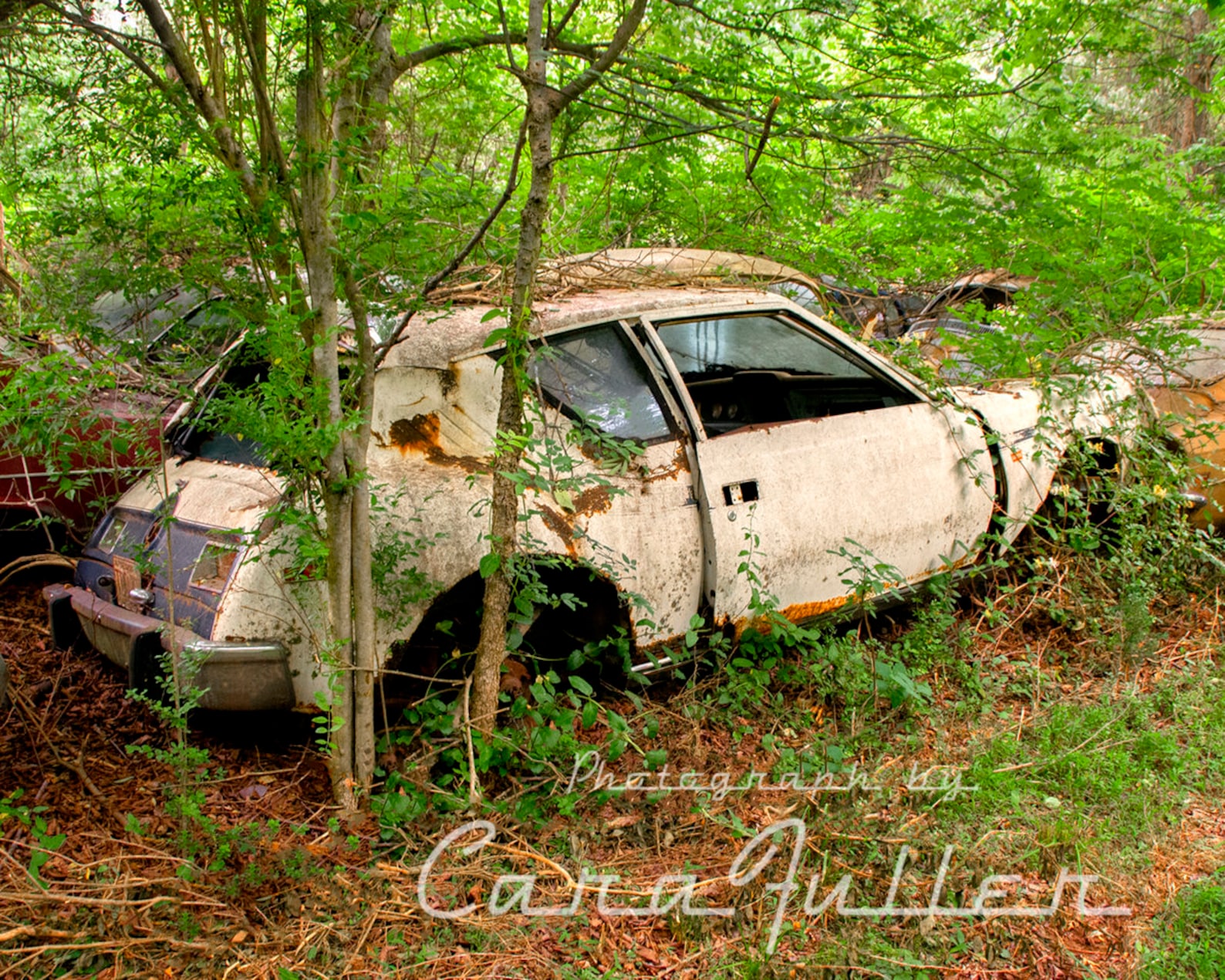 Photograph of a 1973 White AMC Gremlin Levis Edition in the Woods - Etsy