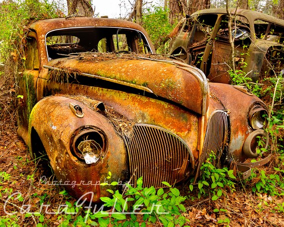 Photograph of a Rusty 1940 Studebaker in the Woods | Etsy