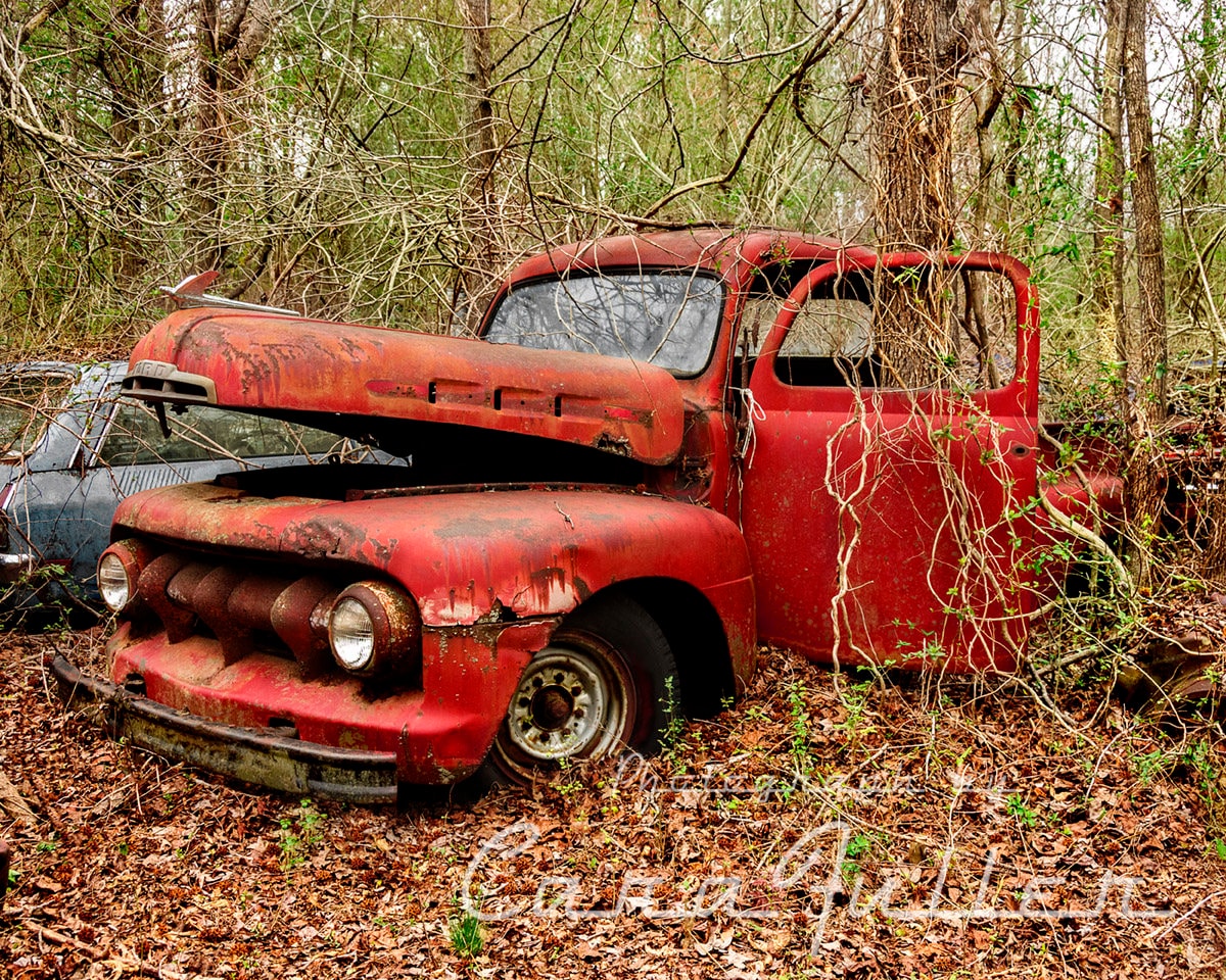 Old Ford Trucks Red