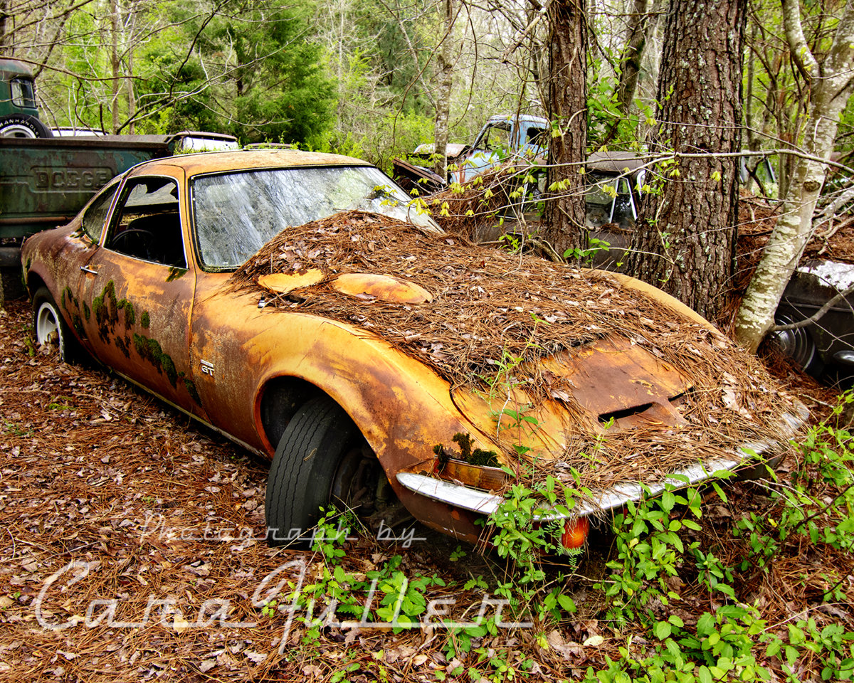 Photograph of the 1970 Opel GT in Woods - Etsy