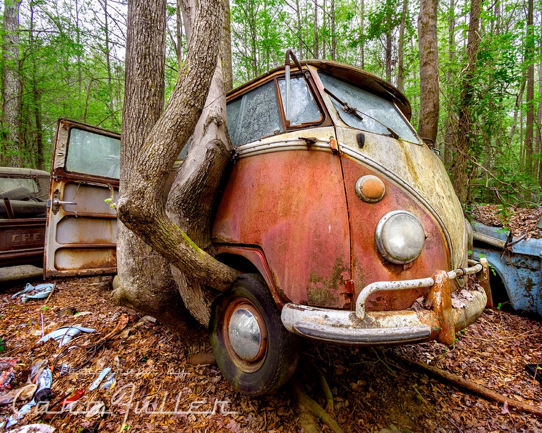 Photograph of a Pink VW Bus Lifted by Tree - Etsy