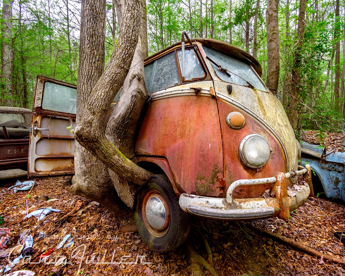 Photograph of a Pink VW Bus Lifted by Tree - Etsy
