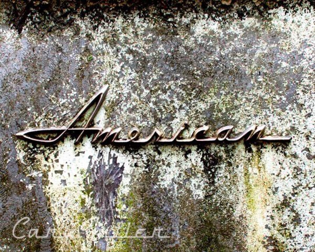 Photograph of the American Emblem - Etsy